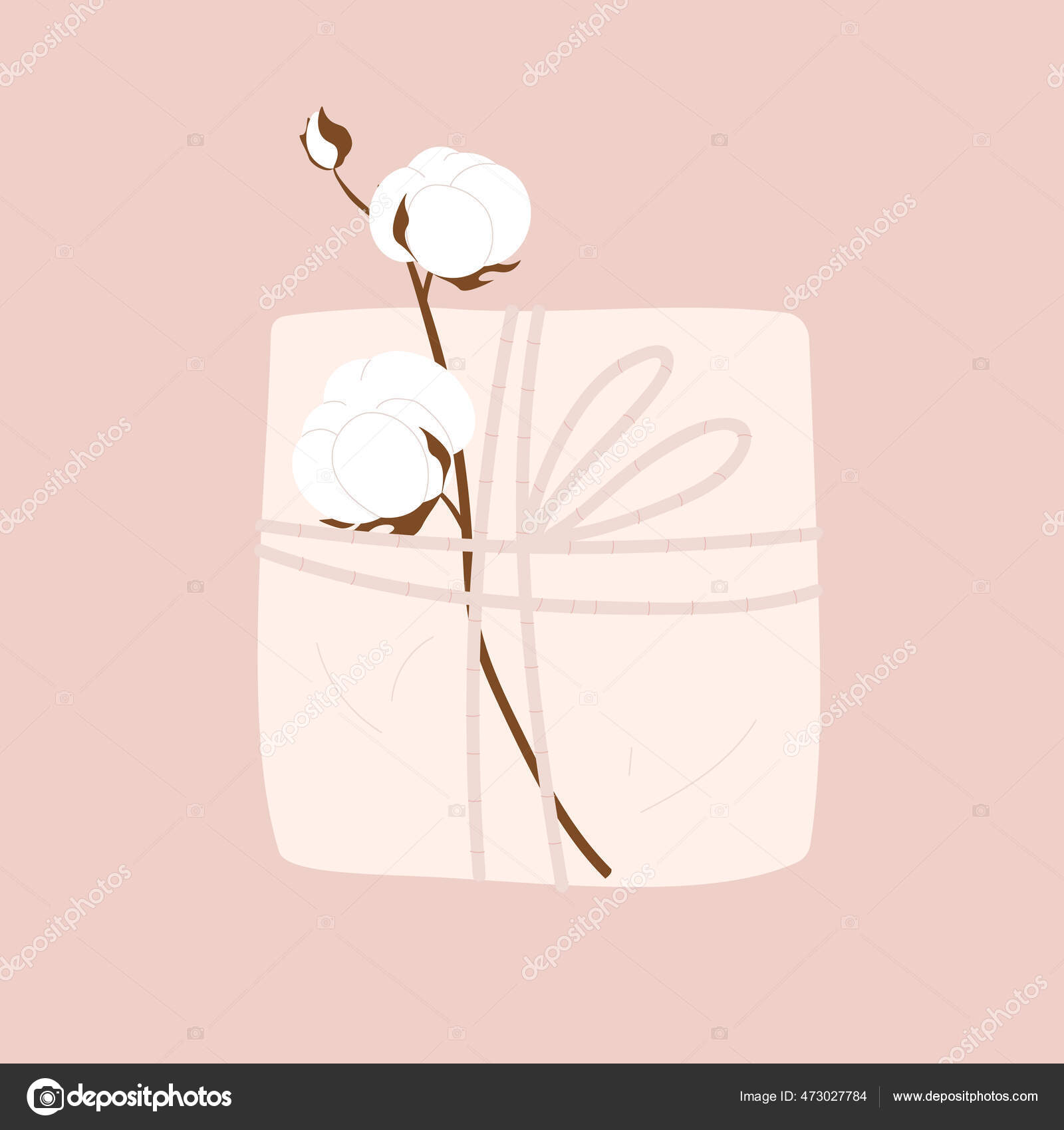 Cotton Gift Box Vector Eco Craft Paper Box Branch Cotton Stock Vector ...