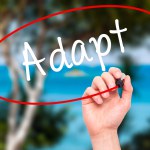 Man Hand Writing Adapt Black Marker Visual Screen Isolated Background ...