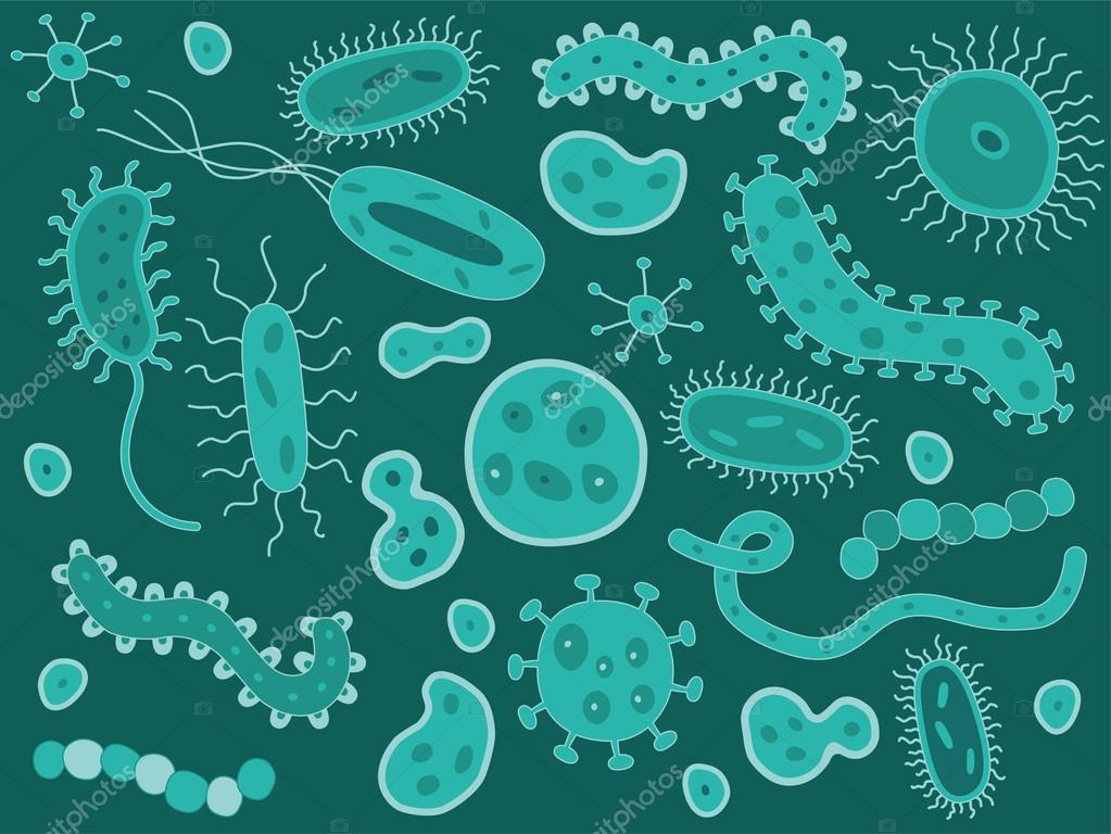 Gérmenes verdes extraídos a mano 2023