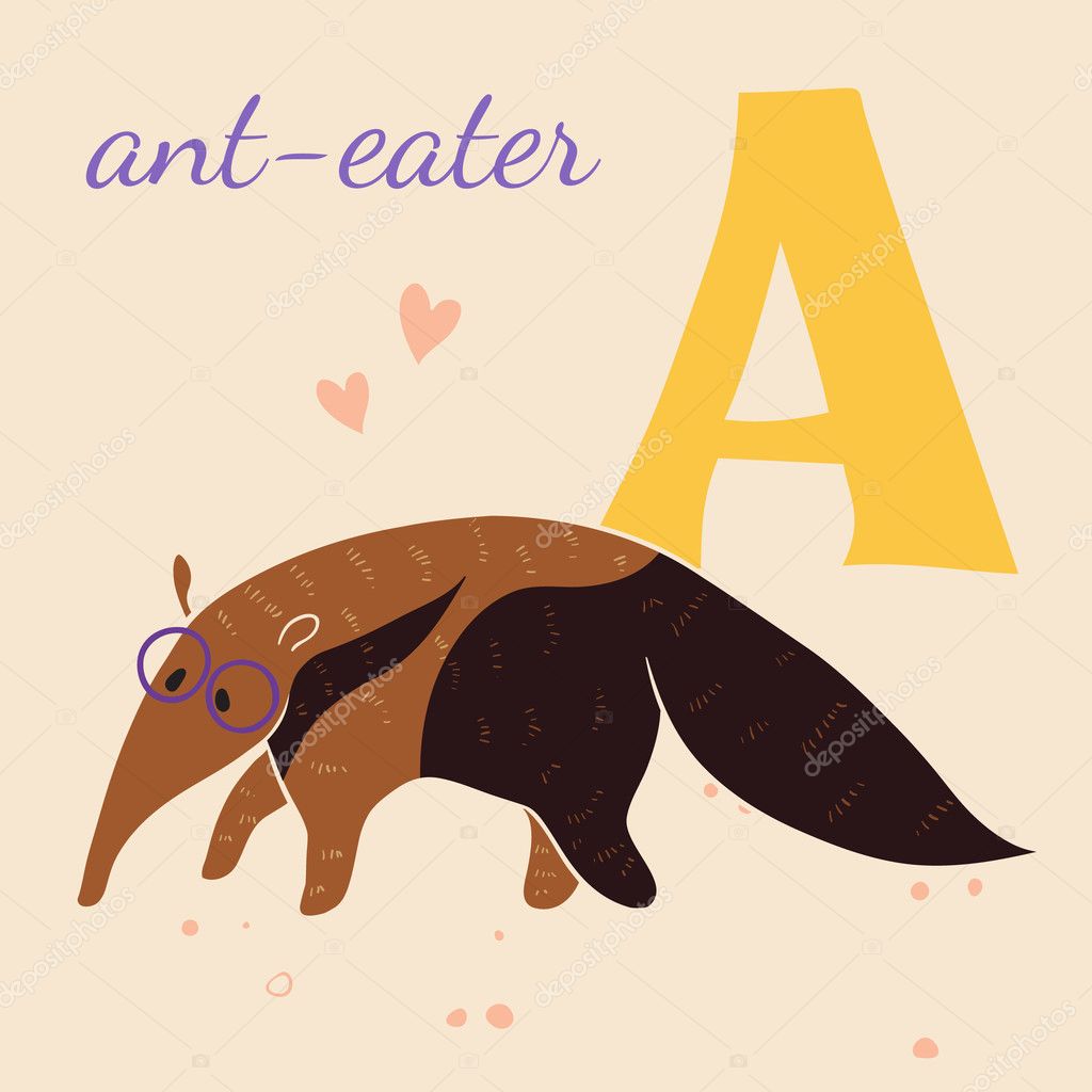 Animal Animals Ant Eater — Stock Photo © coffeee_in #64344735