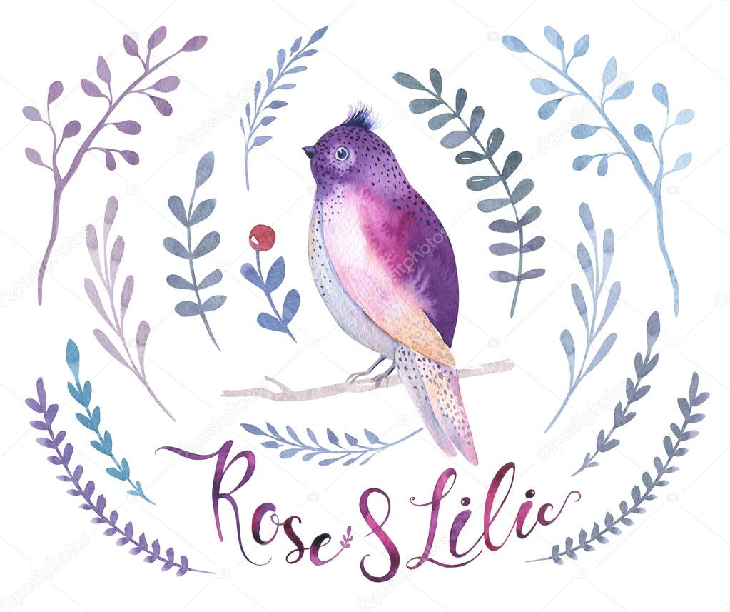 Acuarela boho conjunto de flores y aves 2024