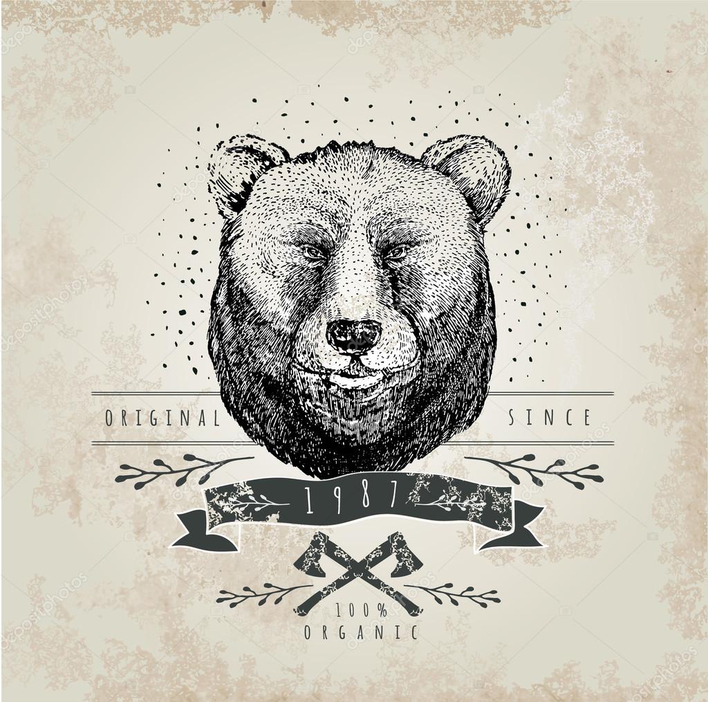 Vintage Bear Illustration