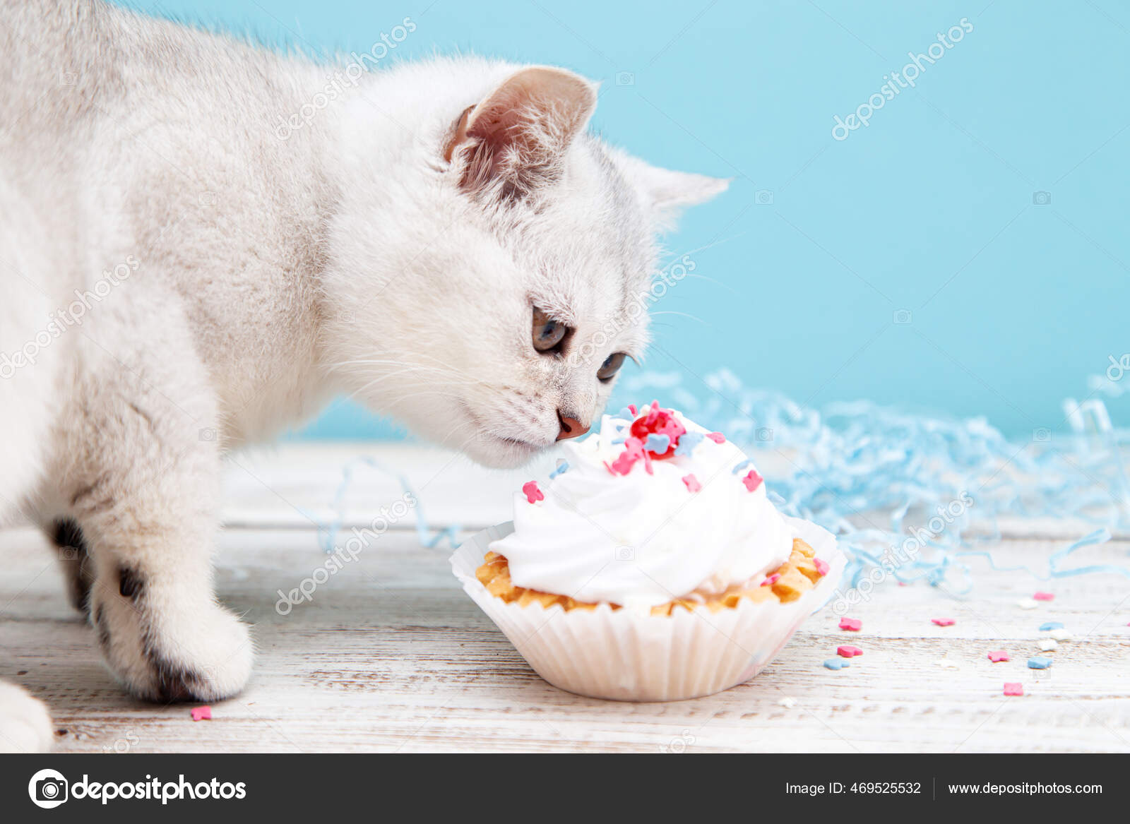 Gatito Comiendo Pastel