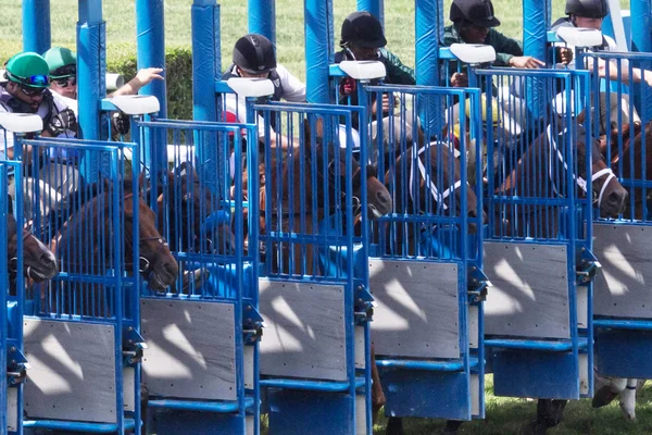 Starting gates Pictures, Starting gates Stock Photos & Images ...