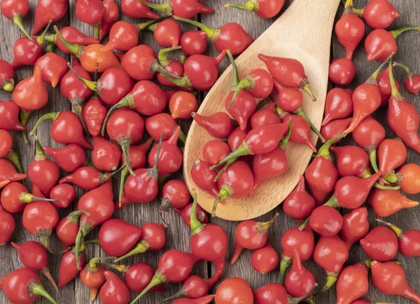 Imágenes de Faneca de pimenta, fotos de Faneca de pimenta sin royalties | Depositphotos