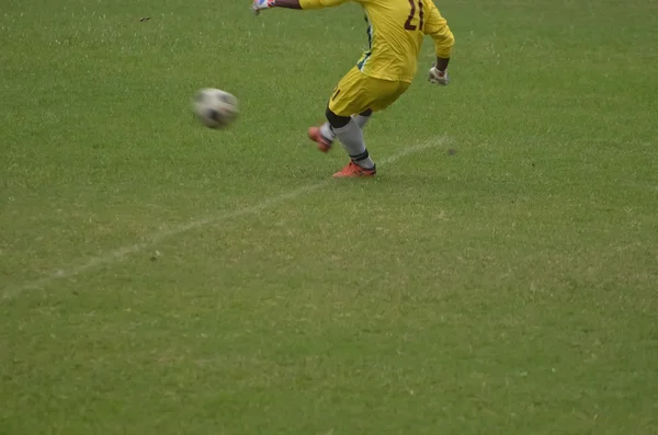 Goalkeeper back Stock Photos, Royalty Free Goalkeeper back Images ...