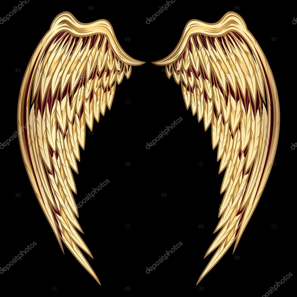 Alas doradas decorativas vector, gráfico vectorial © alex_scholar ...