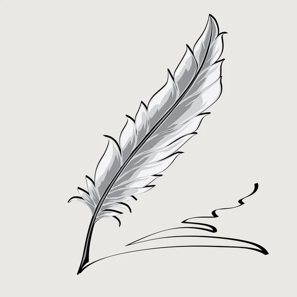 Drawn Old Paper Scroll Feather Stock Vector Image by ©alex_scholar ... Drawn Old Paper Scroll Feather Stock Vector Image by ©alex_scholar ...