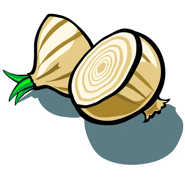 Spring Onion, Scallion Stock Vector Image by ©FindingMyDigitalFeet ...