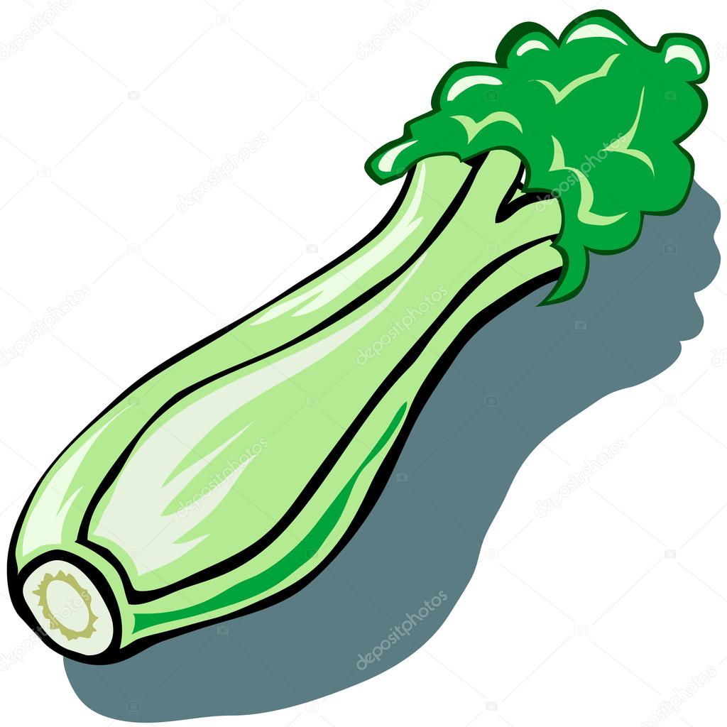 Celery — Stock Vector © FindingMyDigitalFeet #62113753 Celery — Stock Vector © FindingMyDigitalFeet #62113753