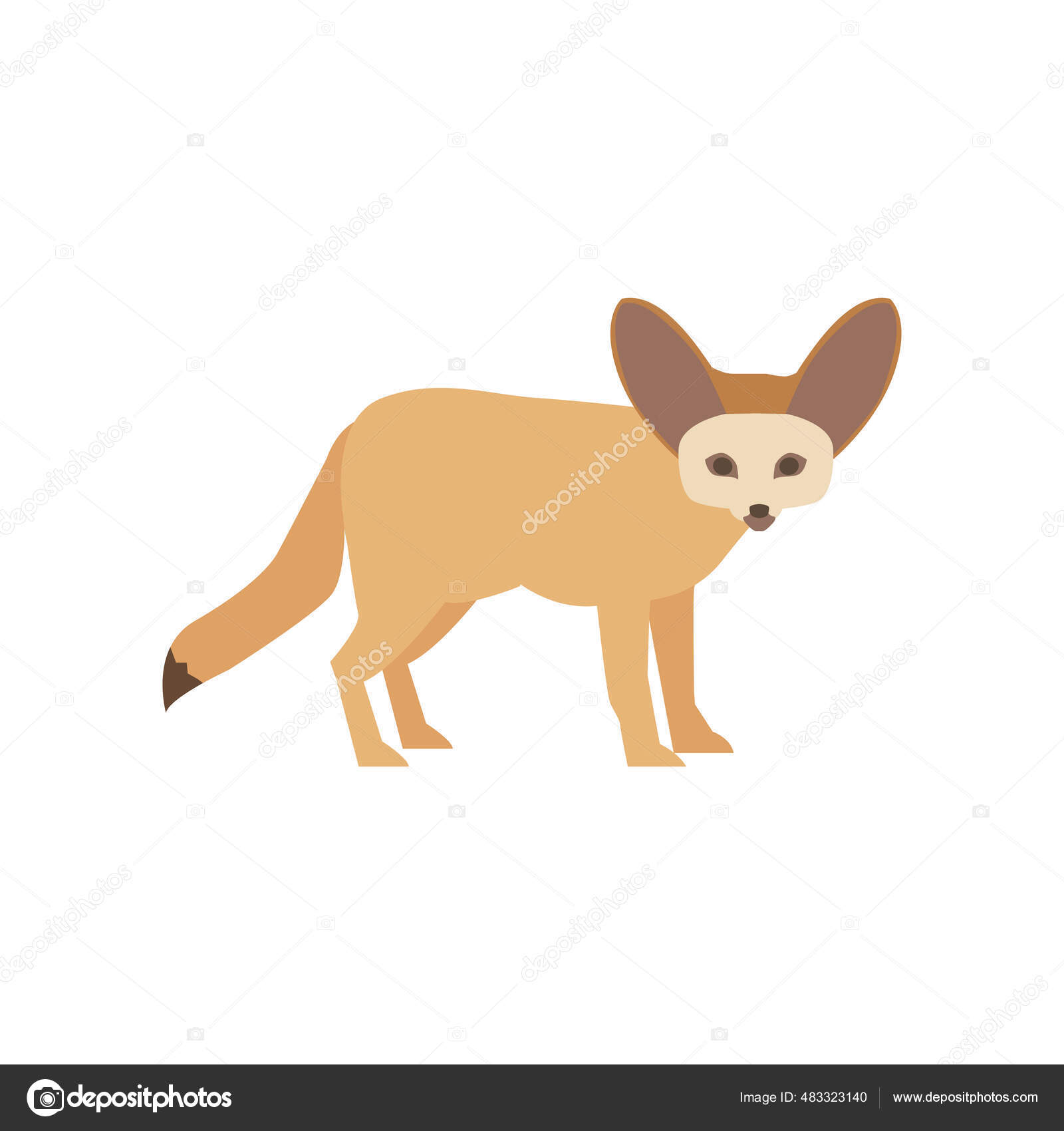 Fennec Fox Isolated Illustration White Background Stock Vector by ...