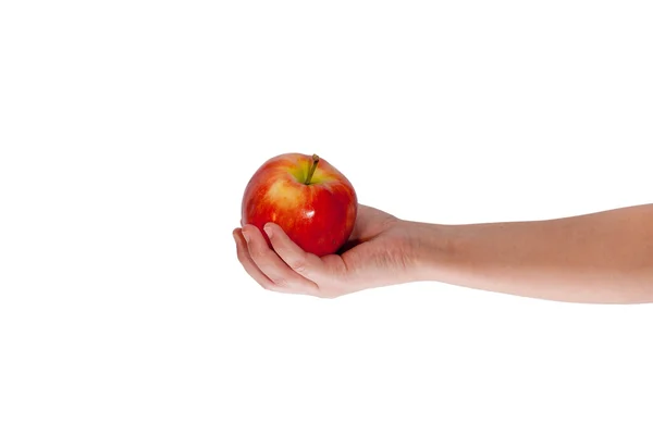 Apple in hand Stock Photos, Royalty Free Apple in hand Images ...