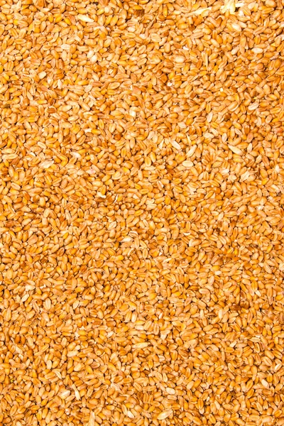 Roasted grains Stock Photos, Royalty Free Roasted grains Images ...