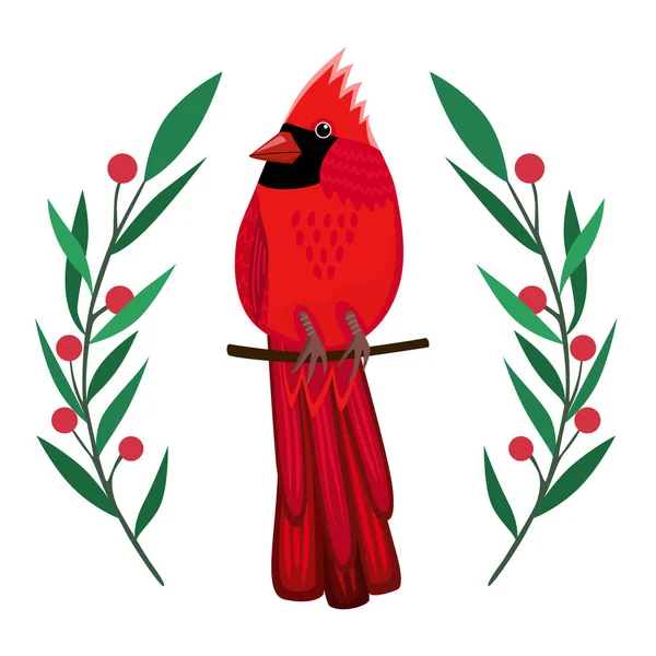 Pájaro cardenal rojo del norte sentado en una rama. Plantas de invierno ... Pájaro cardenal rojo del norte sentado en una rama. Plantas de invierno ...