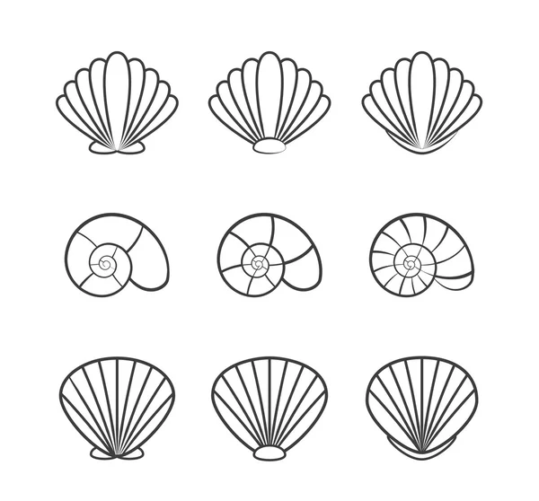 Shell collection - vector silhouette illustration — Stock Vector ...