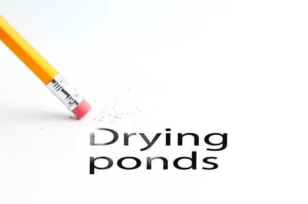 Pencil with eraser — Stock Photo © DmytroKozak #84560640