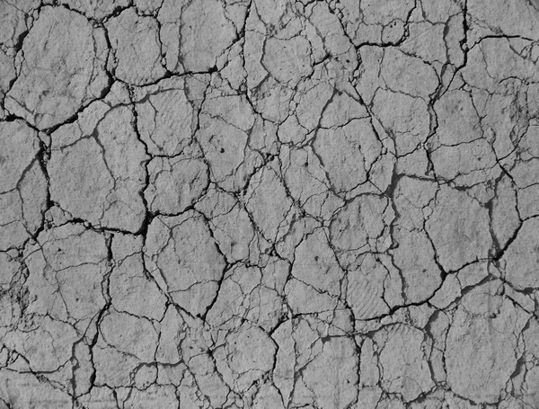 Dry ground texture Stock Photo by ©kues 117357320