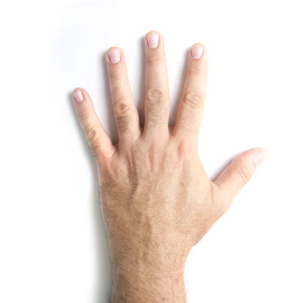 Man open hand Stock Photos, Royalty Free Man open hand Images ...