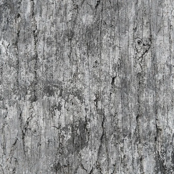 Wood trunk texture Stock Photo by ©kues 67608781