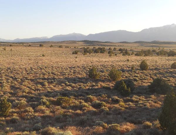 Dry field Stock Photos, Royalty Free Dry field Images | Depositphotos