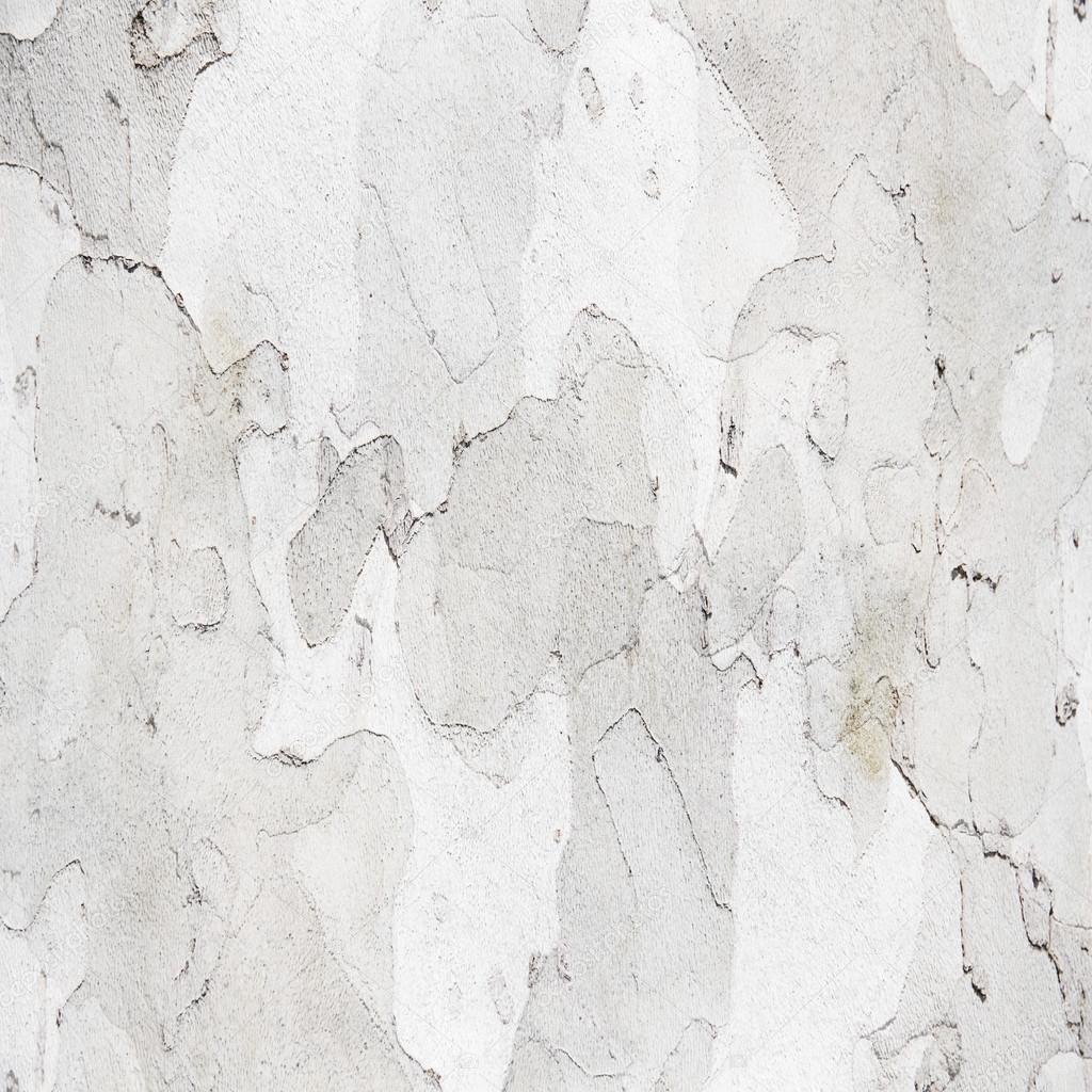 White wood trunk Stock Photo by ©kues 65273187