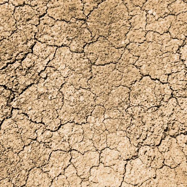 Dry ground texture Stock Photos, Royalty Free Dry ground texture Images ...