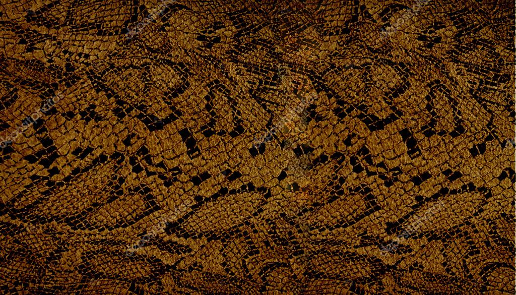 Snake skin texture — Stock Photo © kues #67608595