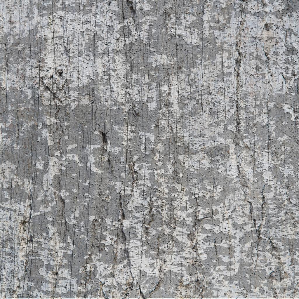 Wood trunk texture Stock Photo by ©kues 67608781