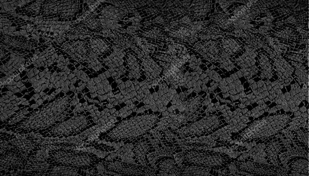 Black Snake Skin Texture