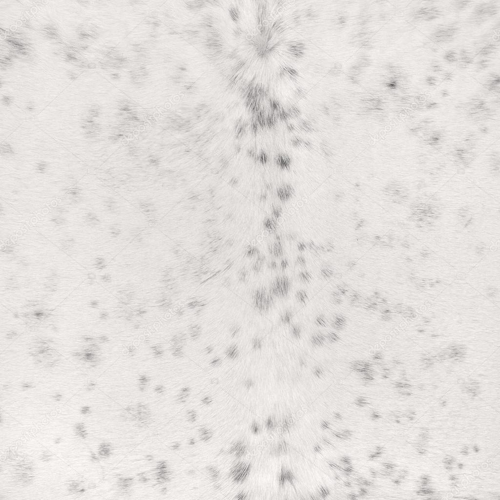 White animal texture Stock Photo by ©kues 68400081