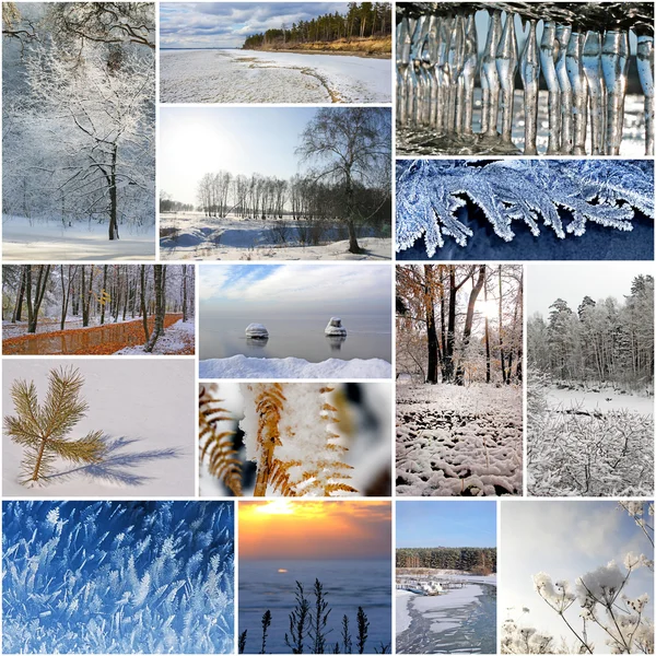 Winter Collage Stock Photo by ©icefront 5592262