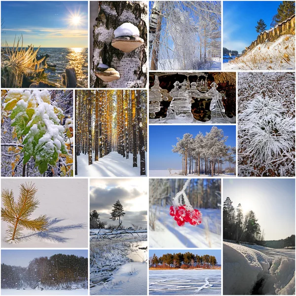 Winter Collage Stock Photo by ©icefront 5592262