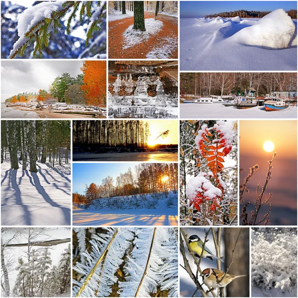 Winter Collage Stock Photo by ©icefront 5592262