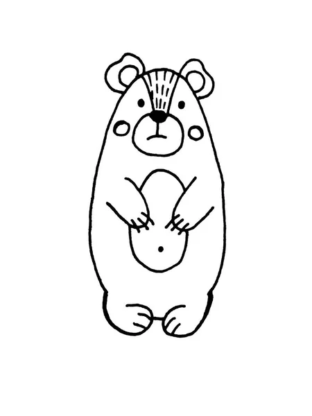 Maci rajz Stock fotók, Maci rajz Jogdíjmentes képek | Depositphotos