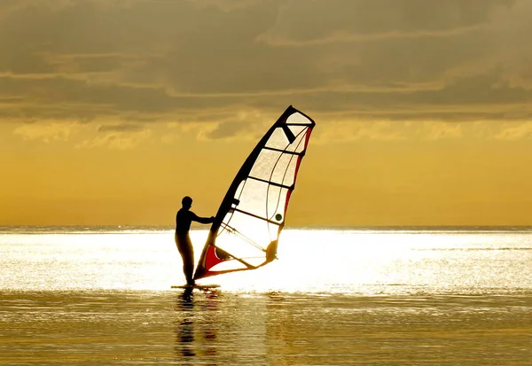 Windsurfing board Stock Photos, Royalty Free Windsurfing board Images ...