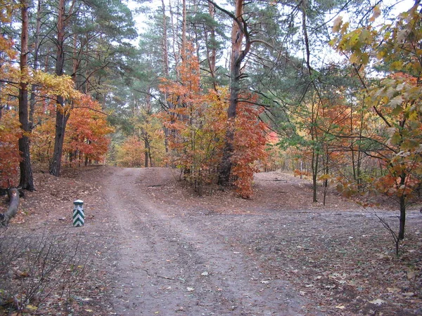 Forest recreation areas Stock Photos, Royalty Free Forest recreation ...