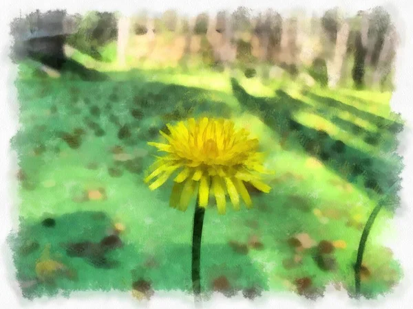 Fotos de Woorden in bloem, Imagens de Woorden in bloem sem royalties ...