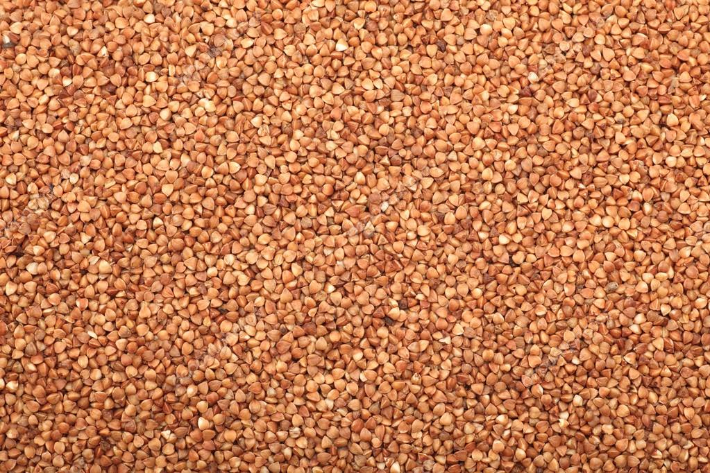 Buckwheat Stock Photo by ©Professor25 64012575