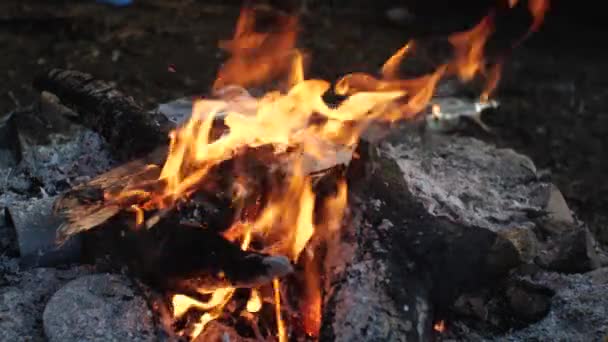 3,194 Atividade de queima Videos, Royalty-free Stock Atividade de ...