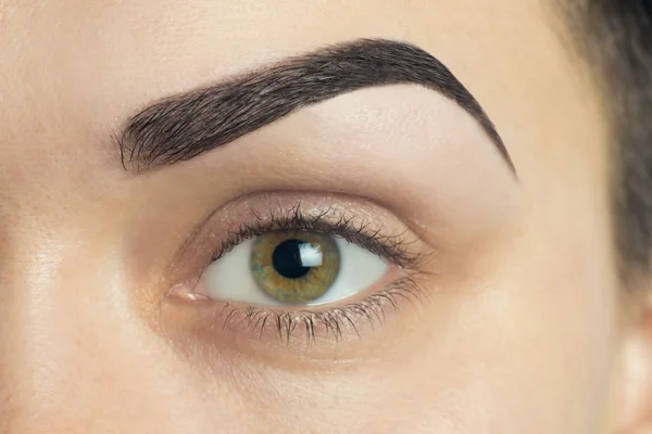 Expressive significant eye perfect shape of eyebrow - Stock Image ...