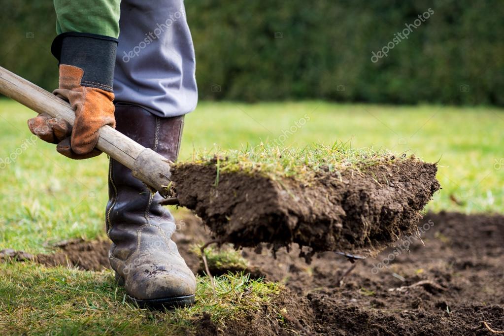 Man using spade for old lawn digging — Stock Photo © andreaobzerova ...