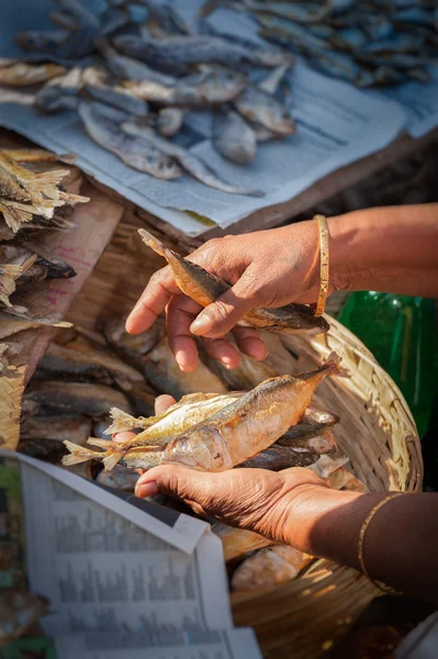 Goan food Stock Photos, Royalty Free Goan food Images | Depositphotos