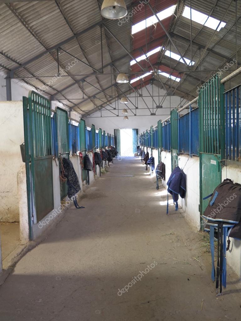 Modern Horse Stable Design