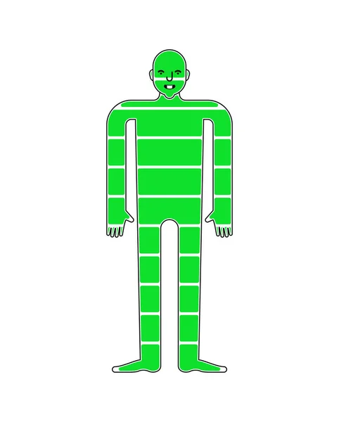 24,064,031 Normal body Vector Images | Depositphotos