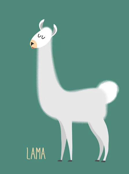 Láma rajz Vector Art Stock Images | Depositphotos