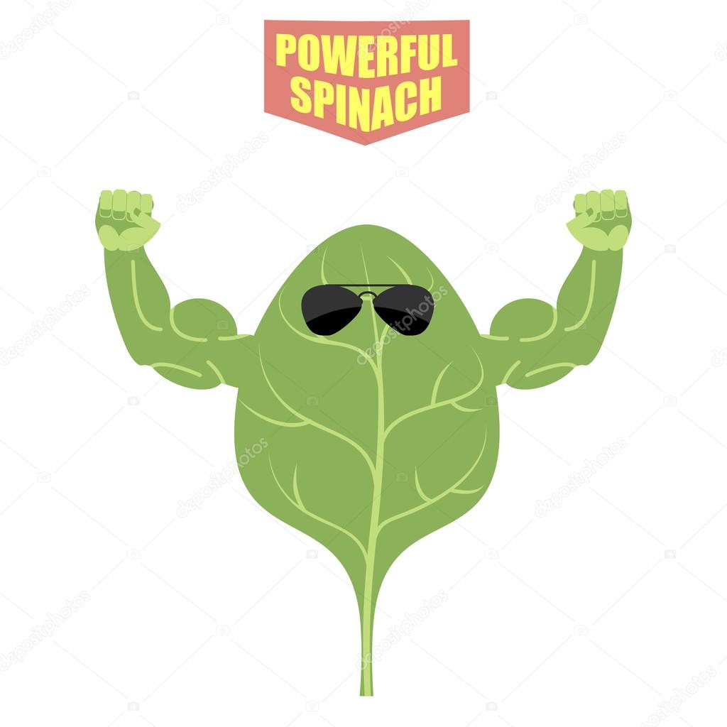 espinacas poderosas. Una planta fuerte con grandes músculos. Verde ...