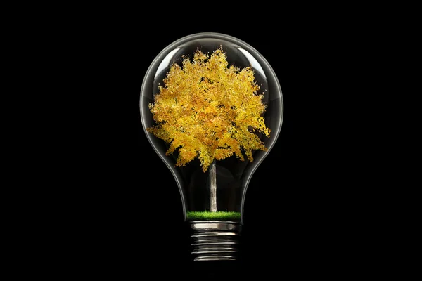 Árvore de bulbo Stock Photos, Royalty Free Árvore de bulbo Images ...