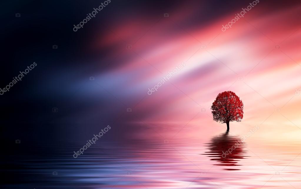 Solitude tree with birds — Stock Photo © besmirhamiti #96171264