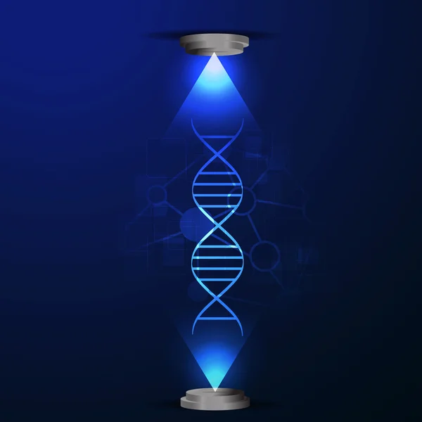 Human DNA strand - Stock Image - Everypixel