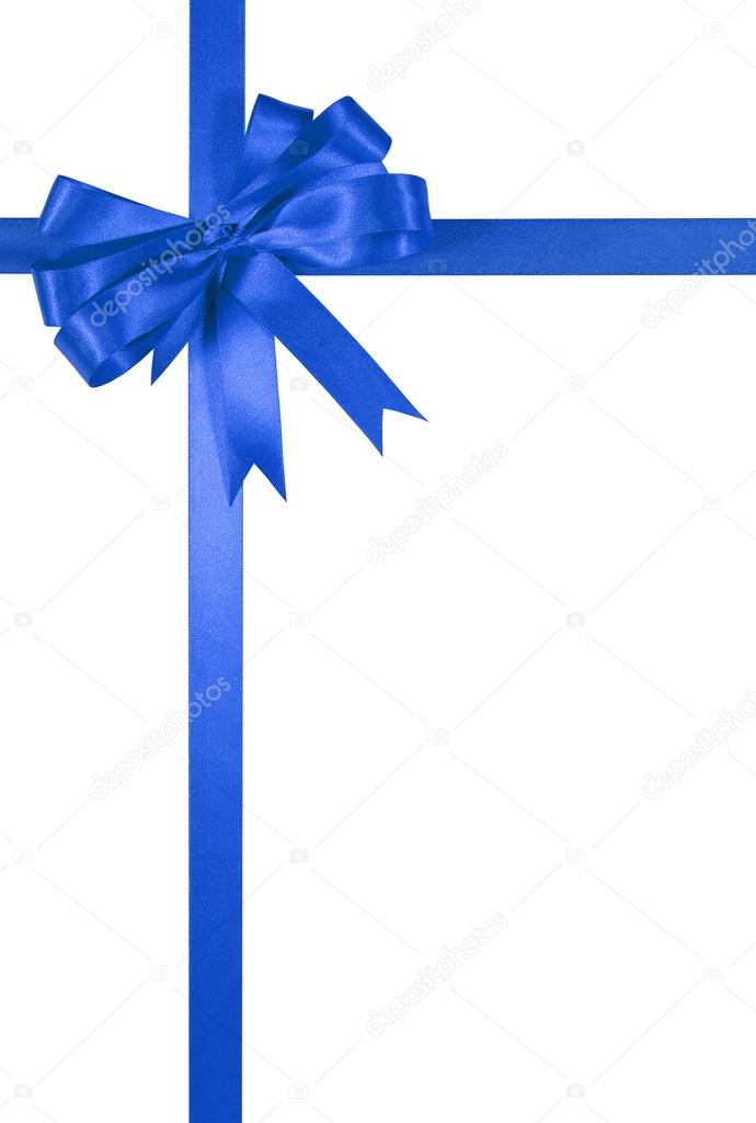 Blue Present Bow